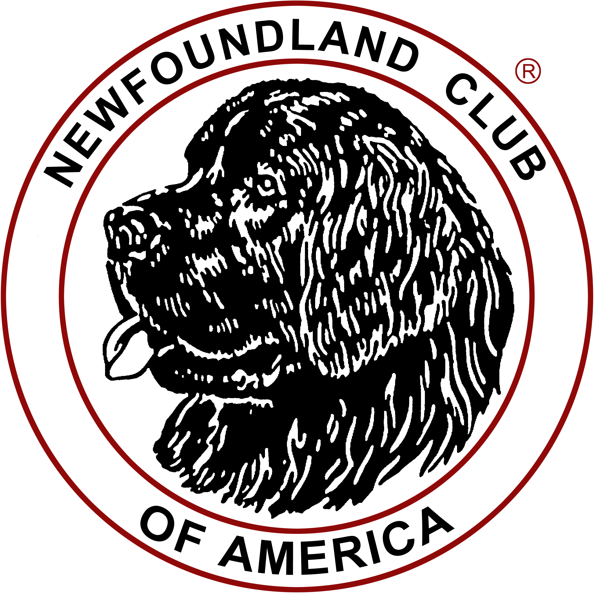 Newfoundland Club of America National Rescue Network - Saving ...